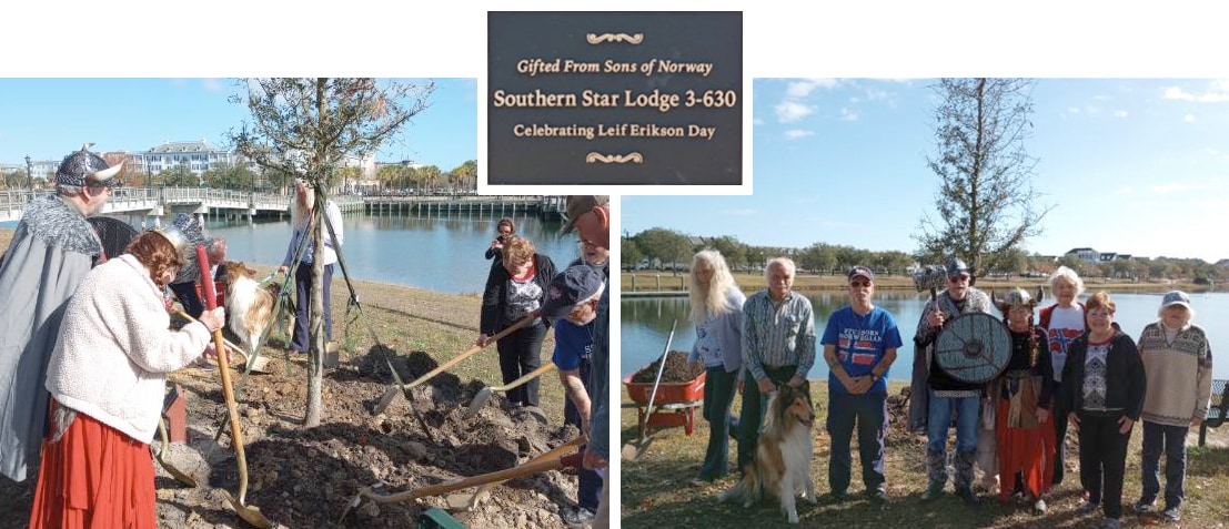 New World Service Day – 2022 – Sons of Norway Third District